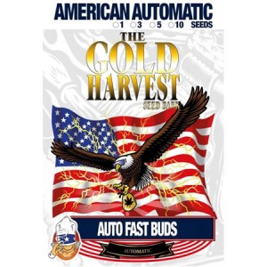 auto Fast Buds Gold Harvest semillas marihuana automatica - Chile